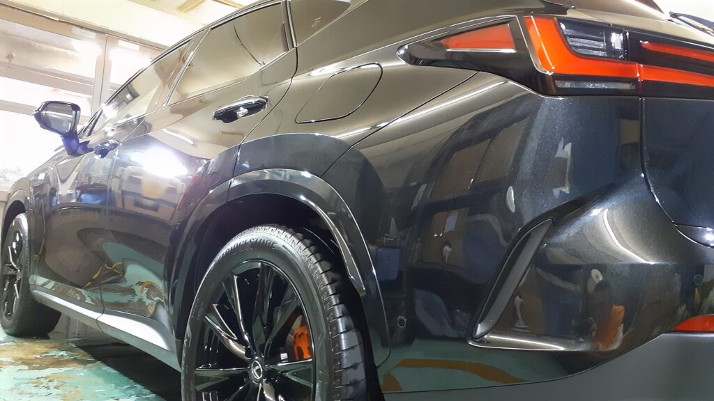 黒の手入れも不安0 - reluster