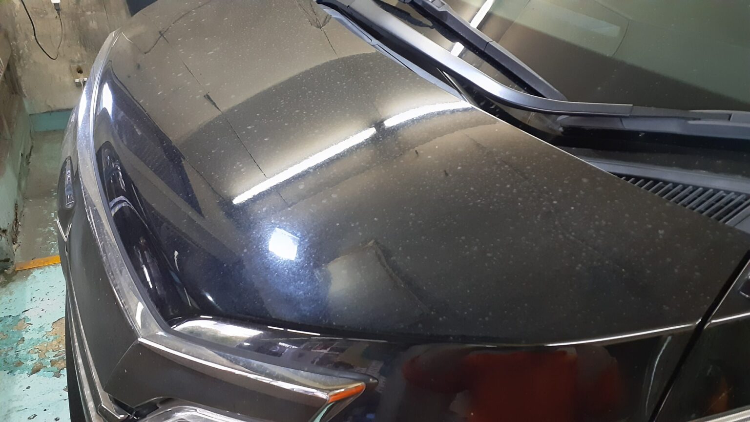 車を綺麗にするために必要な事を見出すのがプロ - reluster